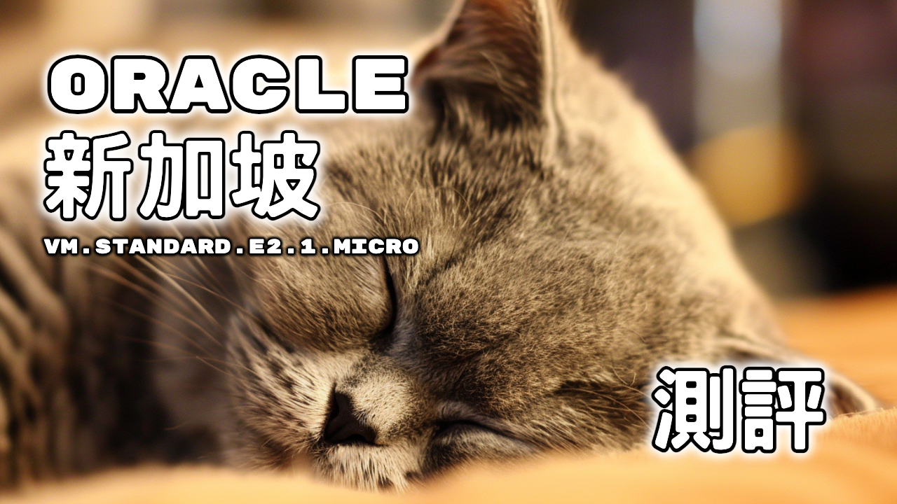 Oracle 新加坡 AMD E2 Micro 融合怪/YABS/流媒体 猫评🐱